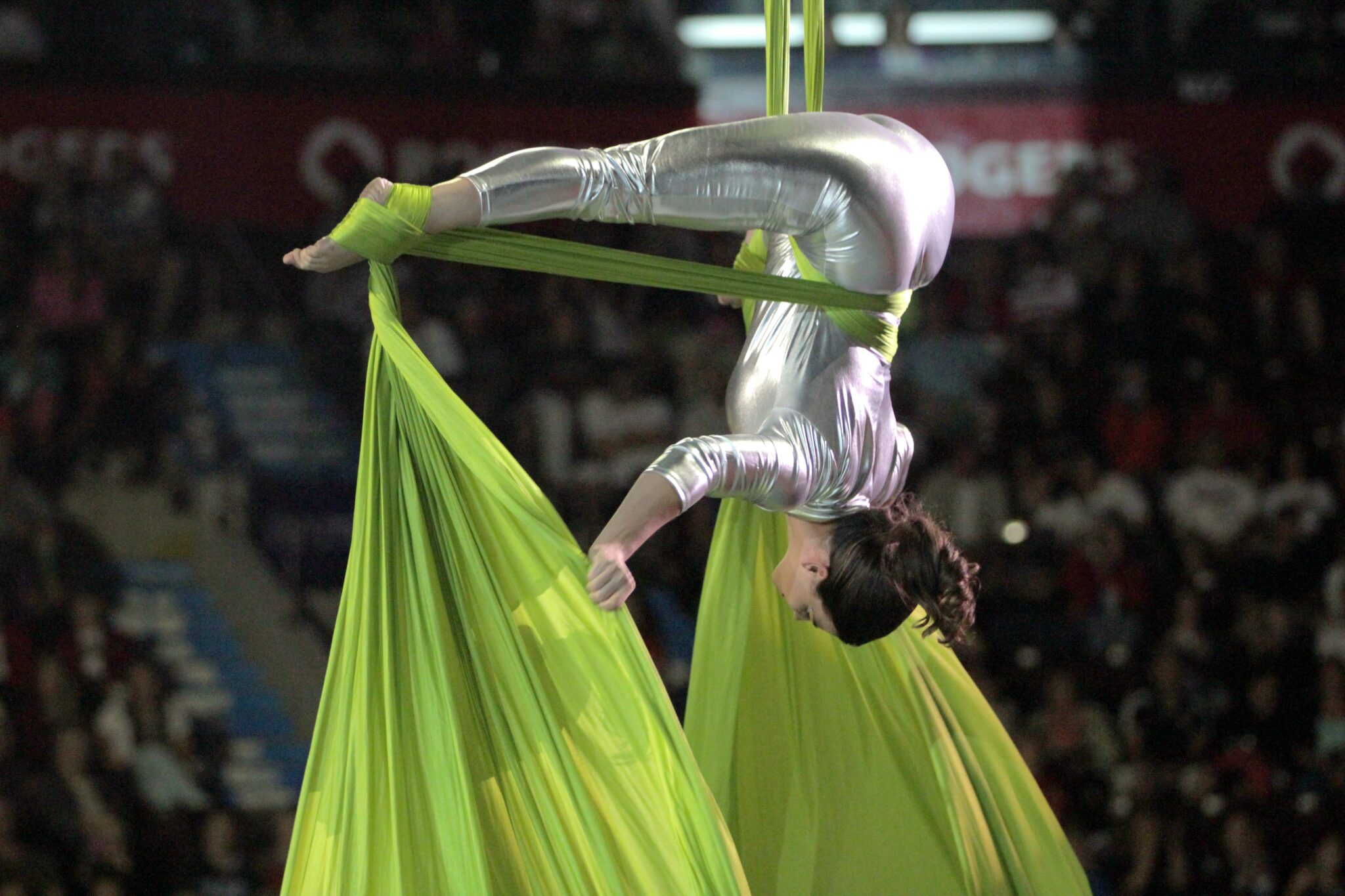 Aerialists - ZFX Flying
